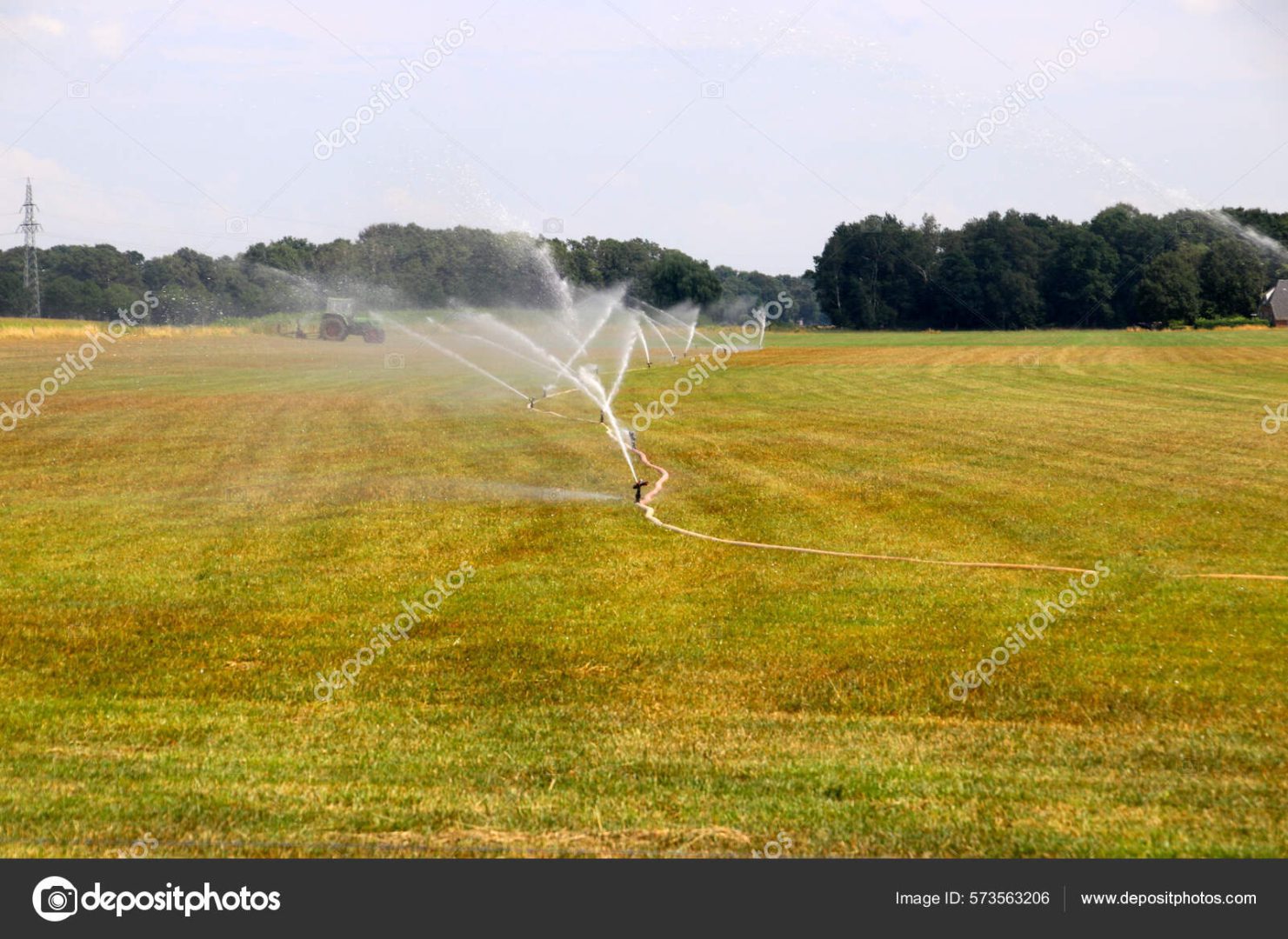 Water shortage in the Netherlands: more dry days on the horizon ...
